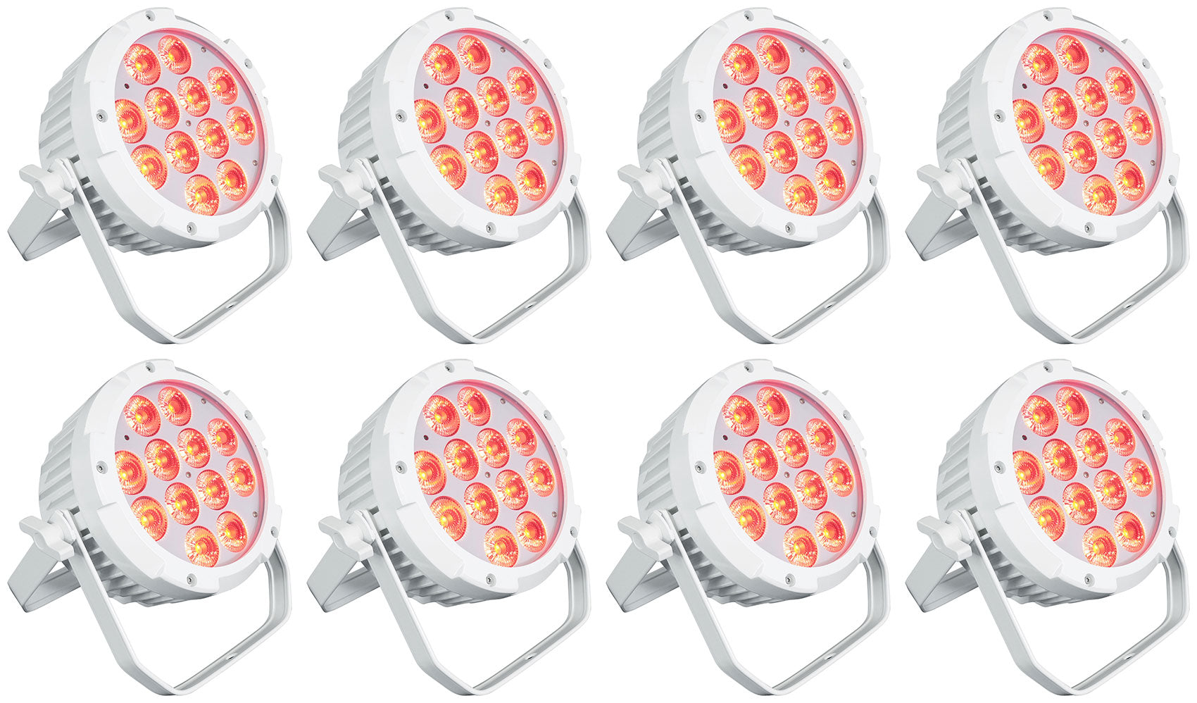 WET PAR PRO WHITE 8-Pack – Rockville